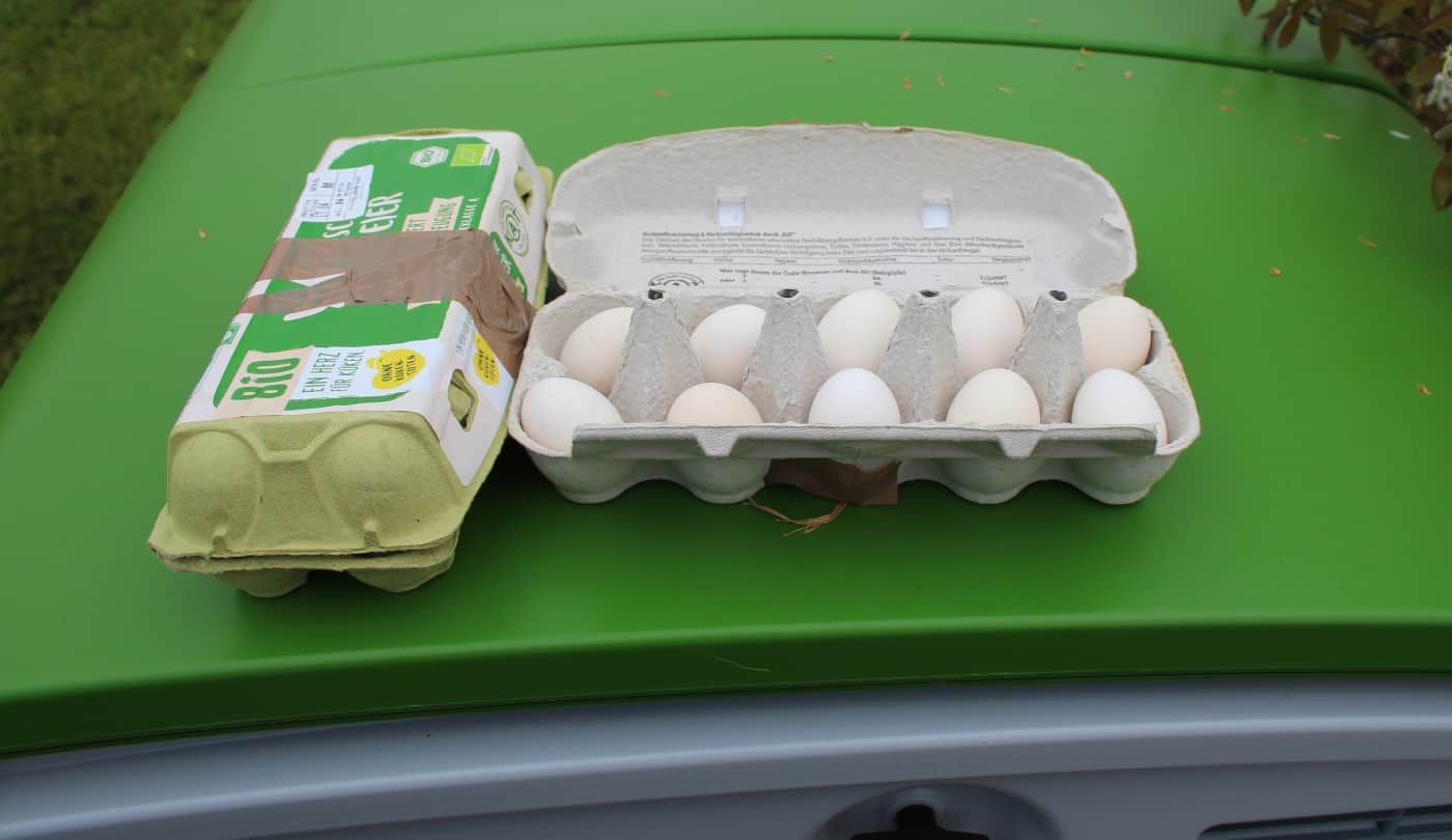 Glucke umsetzen: Vom Legenest in den Brutstall - Schritt-für-Schritt