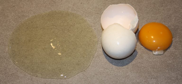 Aufbau der Hühnereier - Eischale, Eiklar und Eigelb und Eigenschaften